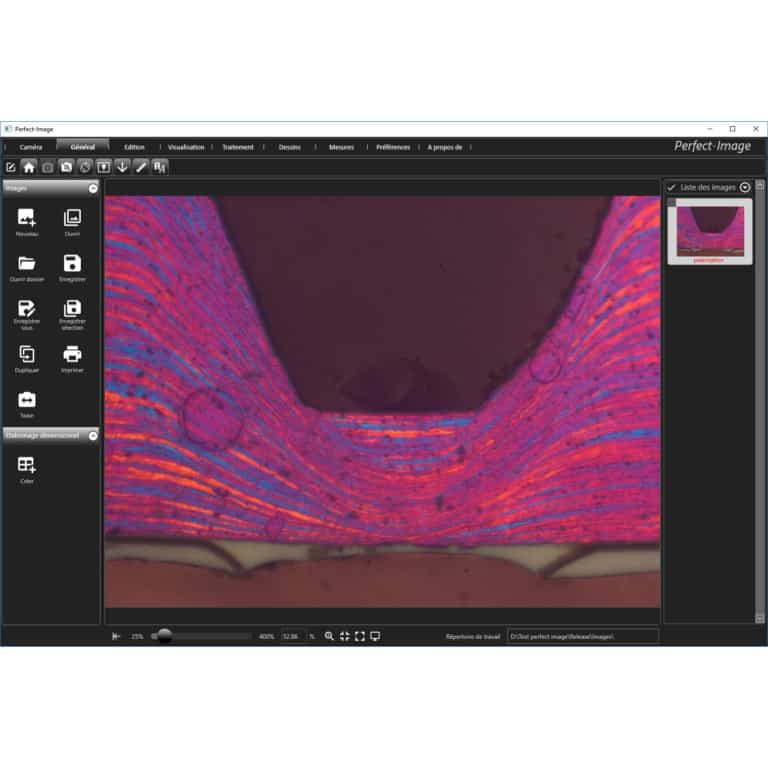 Image analysis software for metallography - Claravision