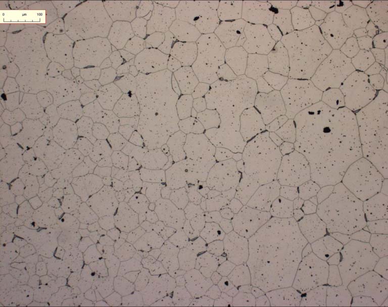 Discover the CV3-3 digital microscope camera solution