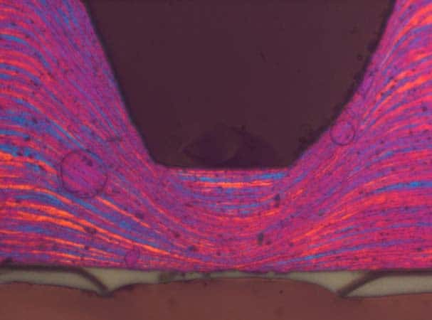 Clara Vision CV3-5 Digital Camera for microscopes